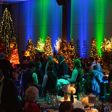 Gala - Festival Of Trees