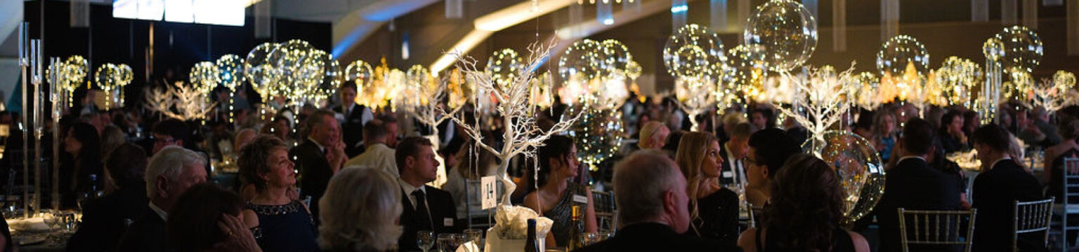 Gala - Festival Of Trees